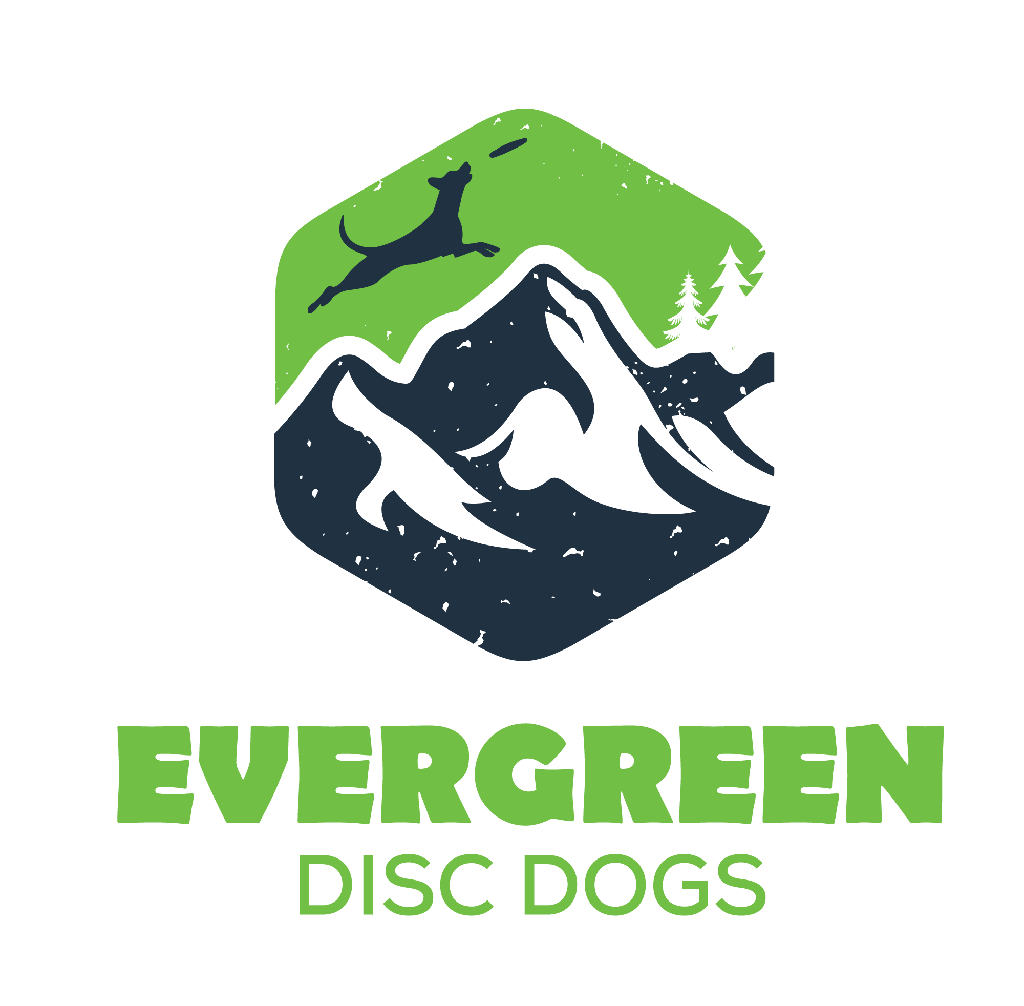 EVERGREEN DISC DOGS – DZK9 Designs