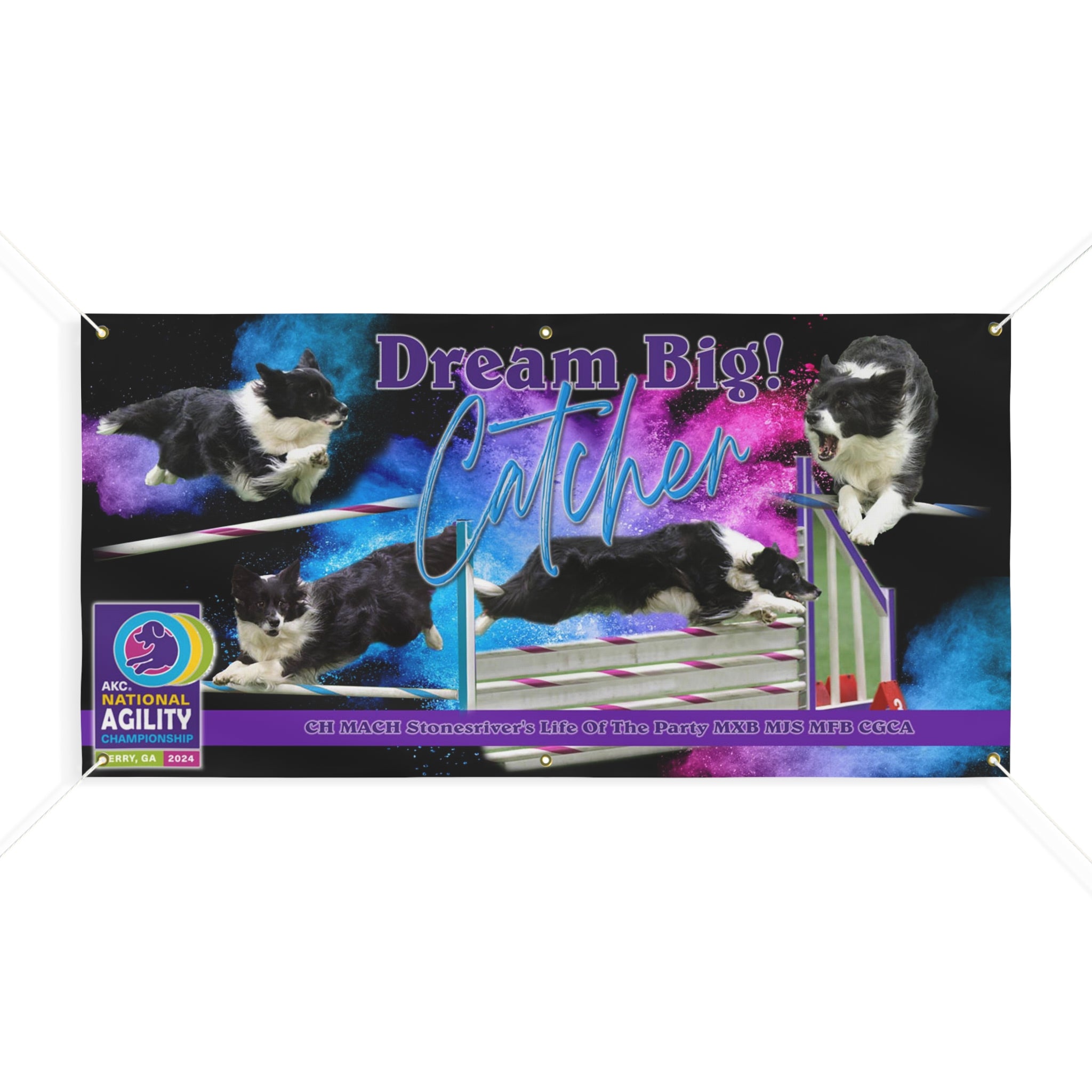 CATCHER 2 Custom Matte Banner – DZK9 Designs