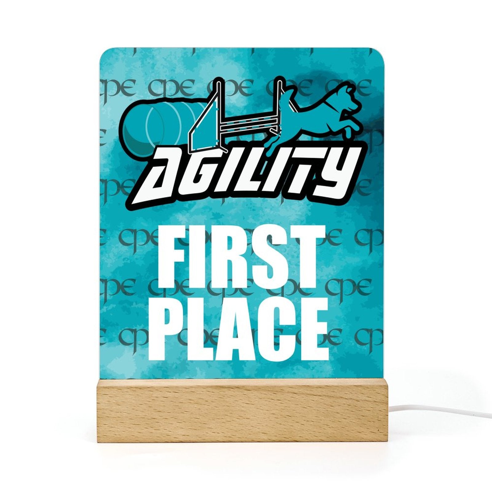 CPE AGILITY AWARD Acrylic Night Light with Wooden Base – DZK9 Designs