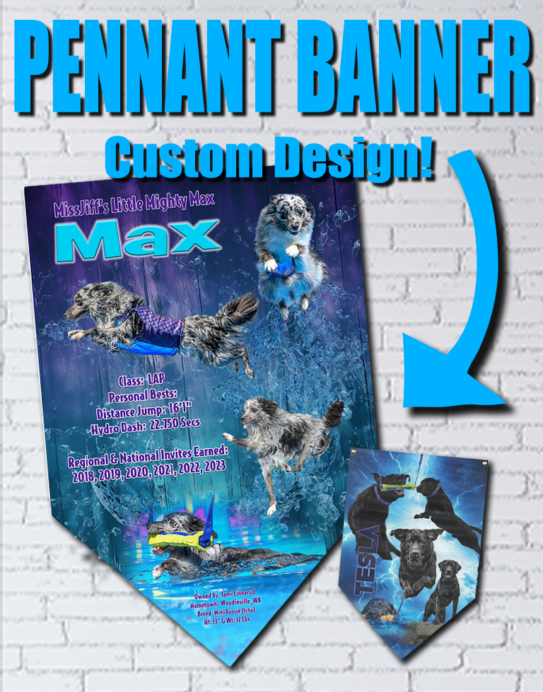 PENNANT BANNER - CUSTOM – DZK9 Designs