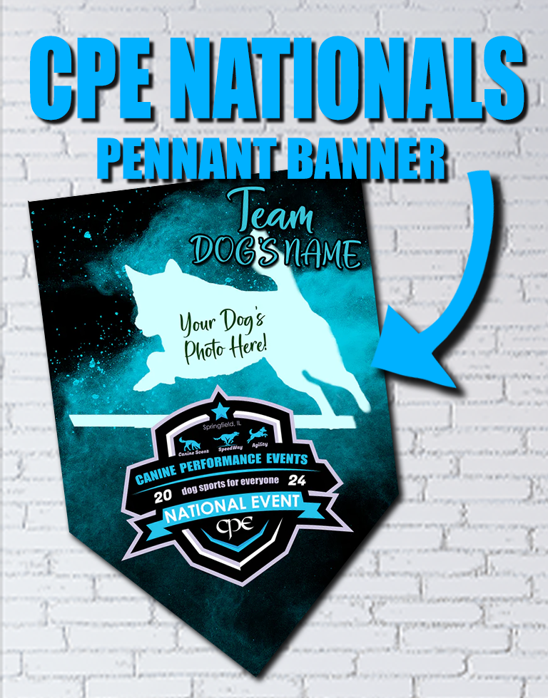 CPE NATIONALS PENNANT BANNER - CUSTOM – DZK9 Designs