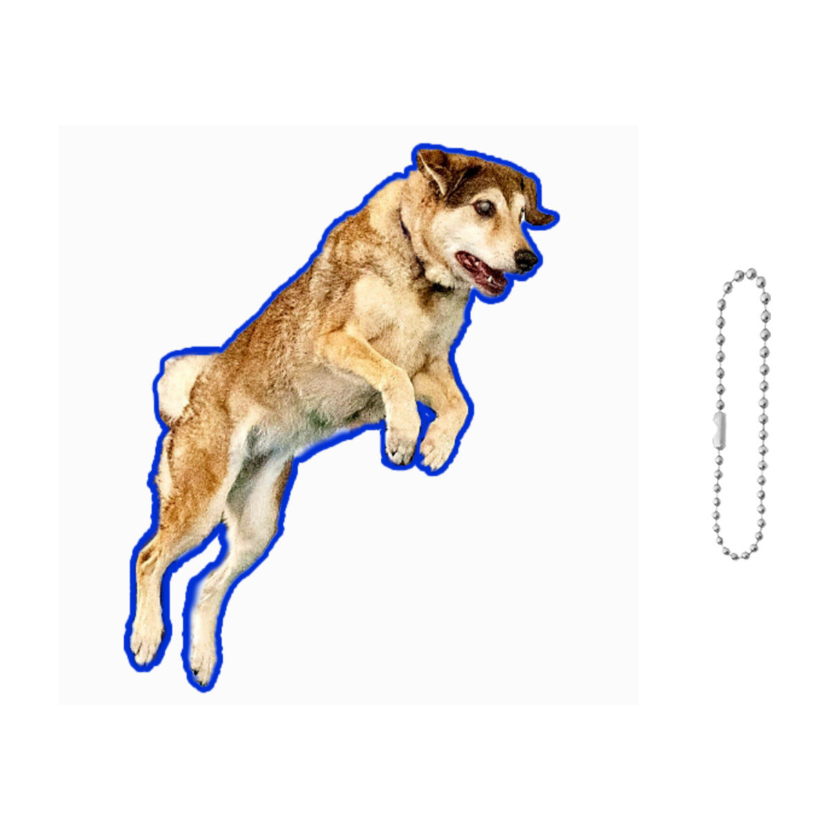 Heidi Dog – DZK9 Designs