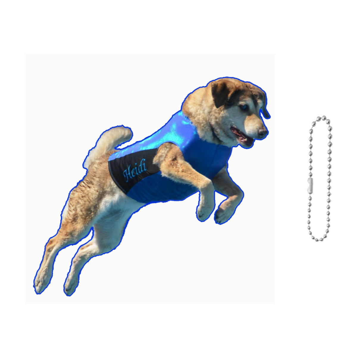 Heidi Dog in Blue – DZK9 Designs